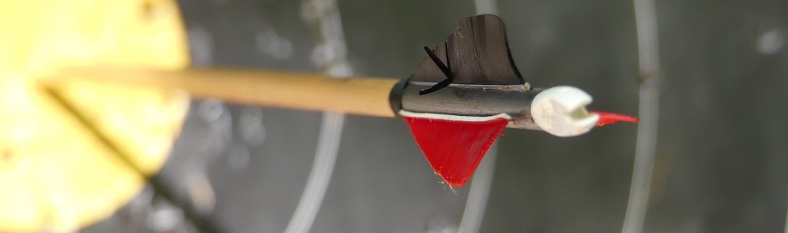 Titus 1:16 — Satan’s Arrow – Three Minute Bible